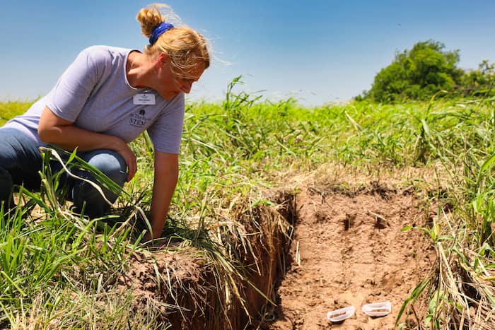 Free Professional Development - On The Farm STEM Immersive Experience