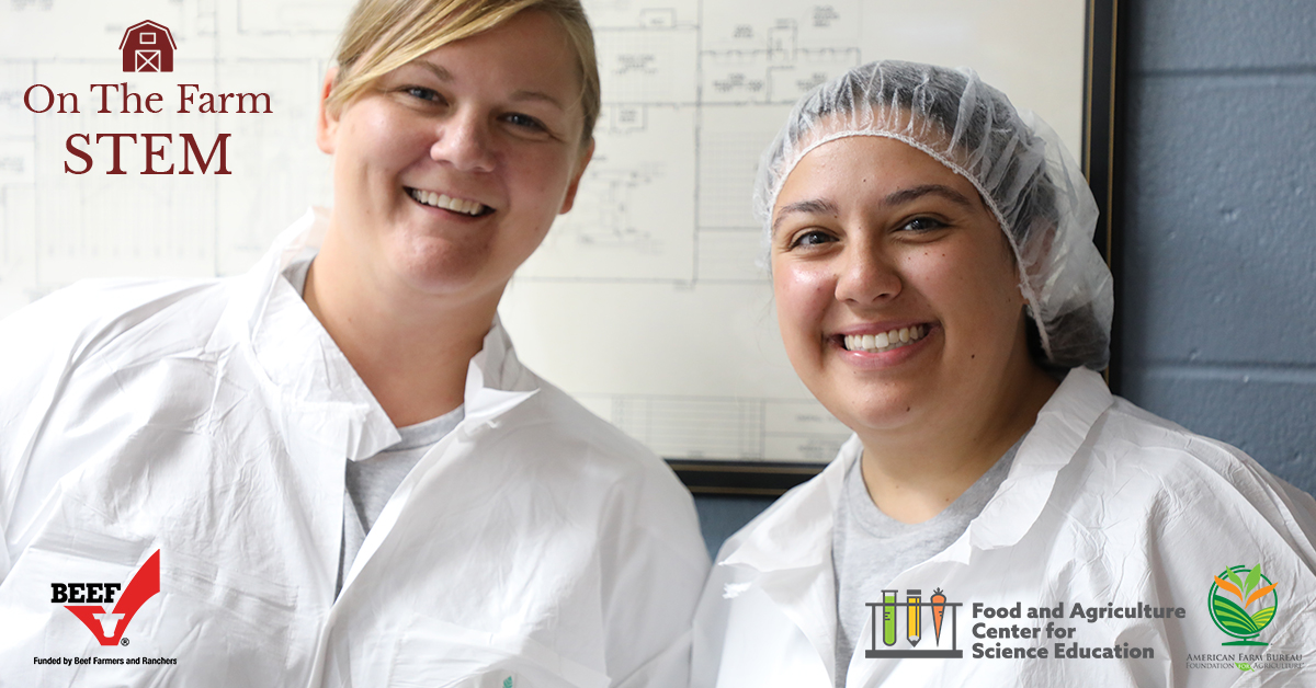 On The Farm STEM Experience | Beef